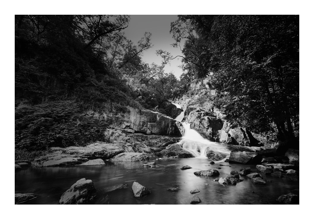 Faune En Noir Et Blanc - Expéditions de l'Extrème