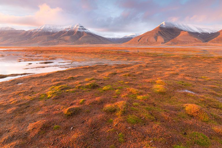 Why You Should Visit Svalbard In Norway For Photography - Expéditions ...