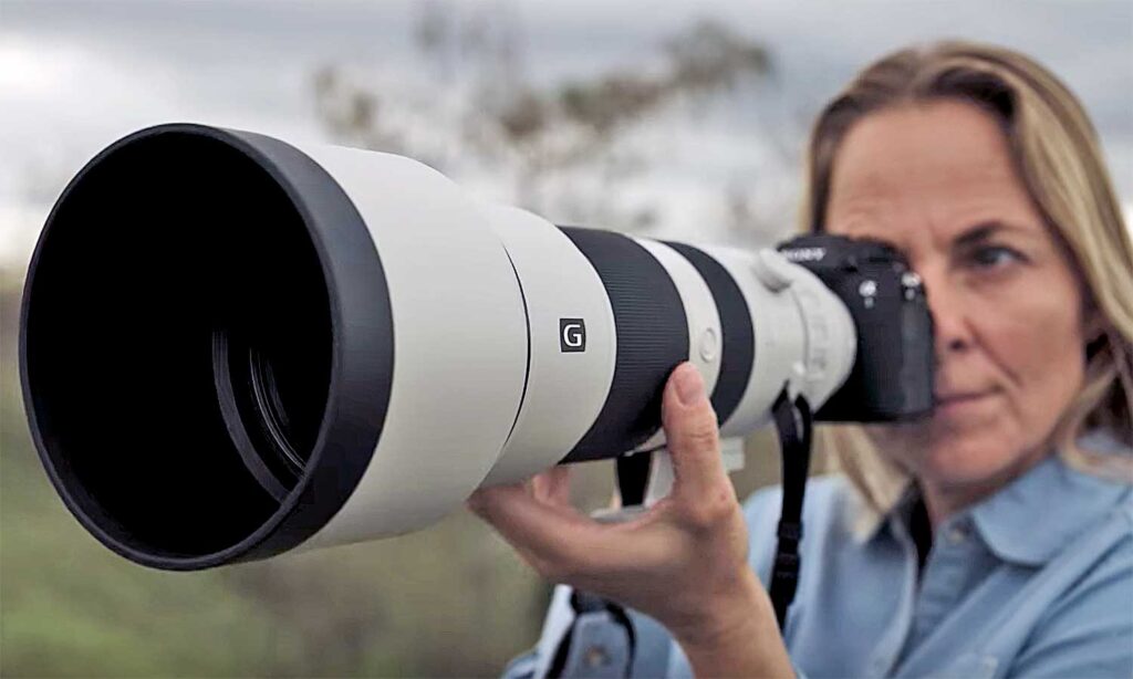 Here Are 5 Photos Captured with the New Sony 400-800mm Lens ...